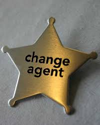 Welke vaardigheden maken een Change Agent succesvol?