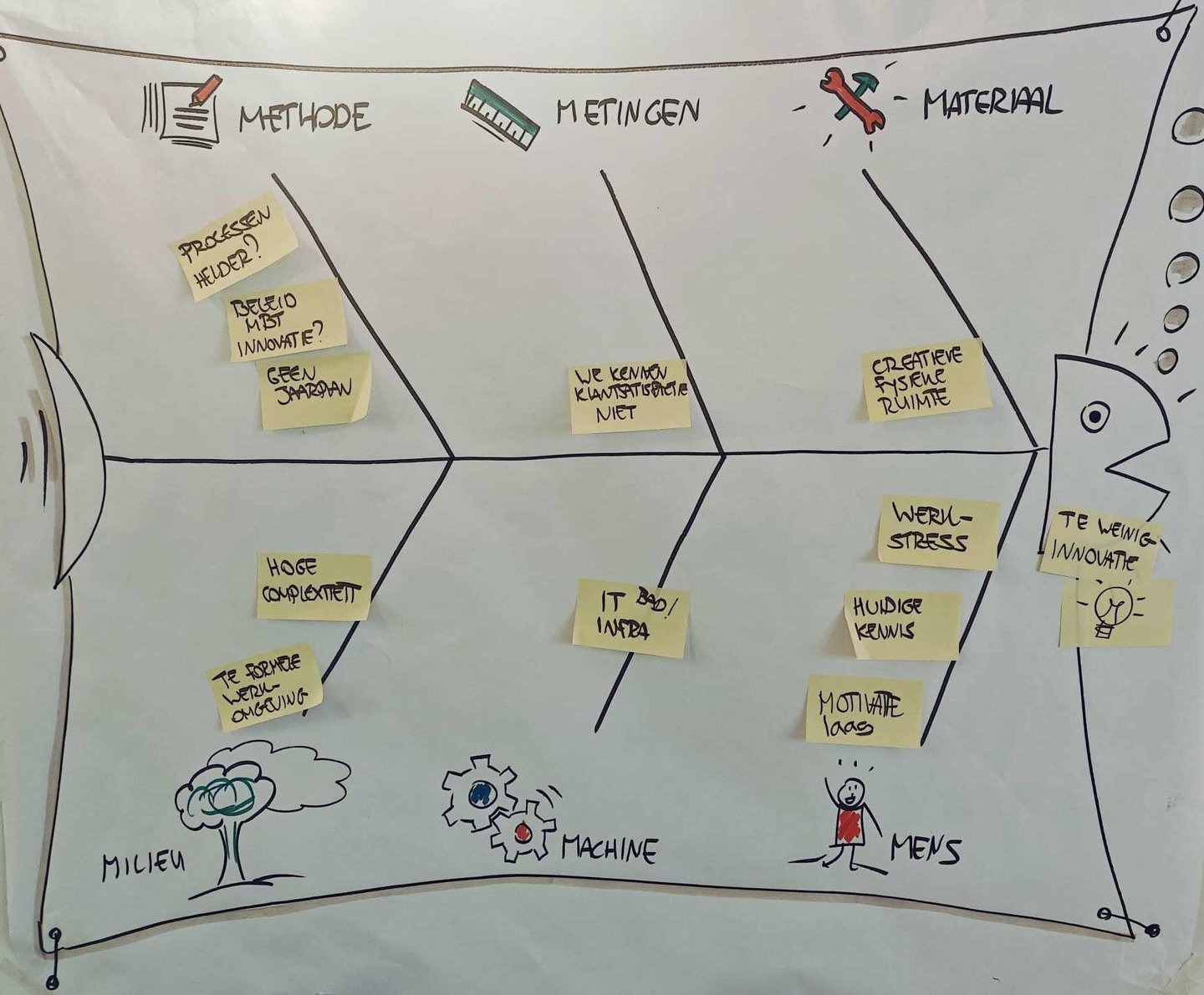 Visgraatdiagram | Lean Six Sigma Partners