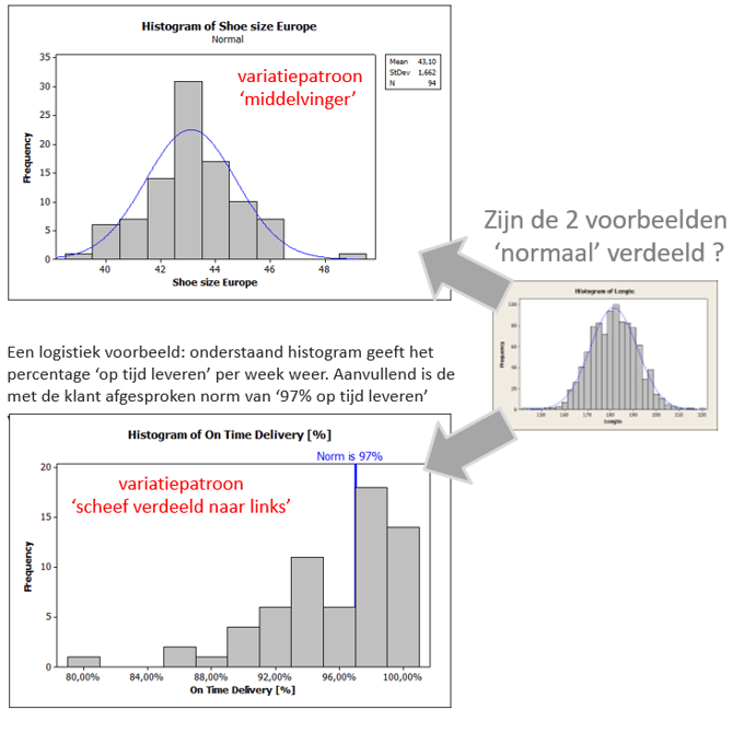 Histogram Lean Six Sigma Partners